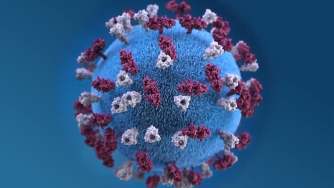 BCPS: Manatee Bay Elementary measles cases remain at 6 after FDOH ...