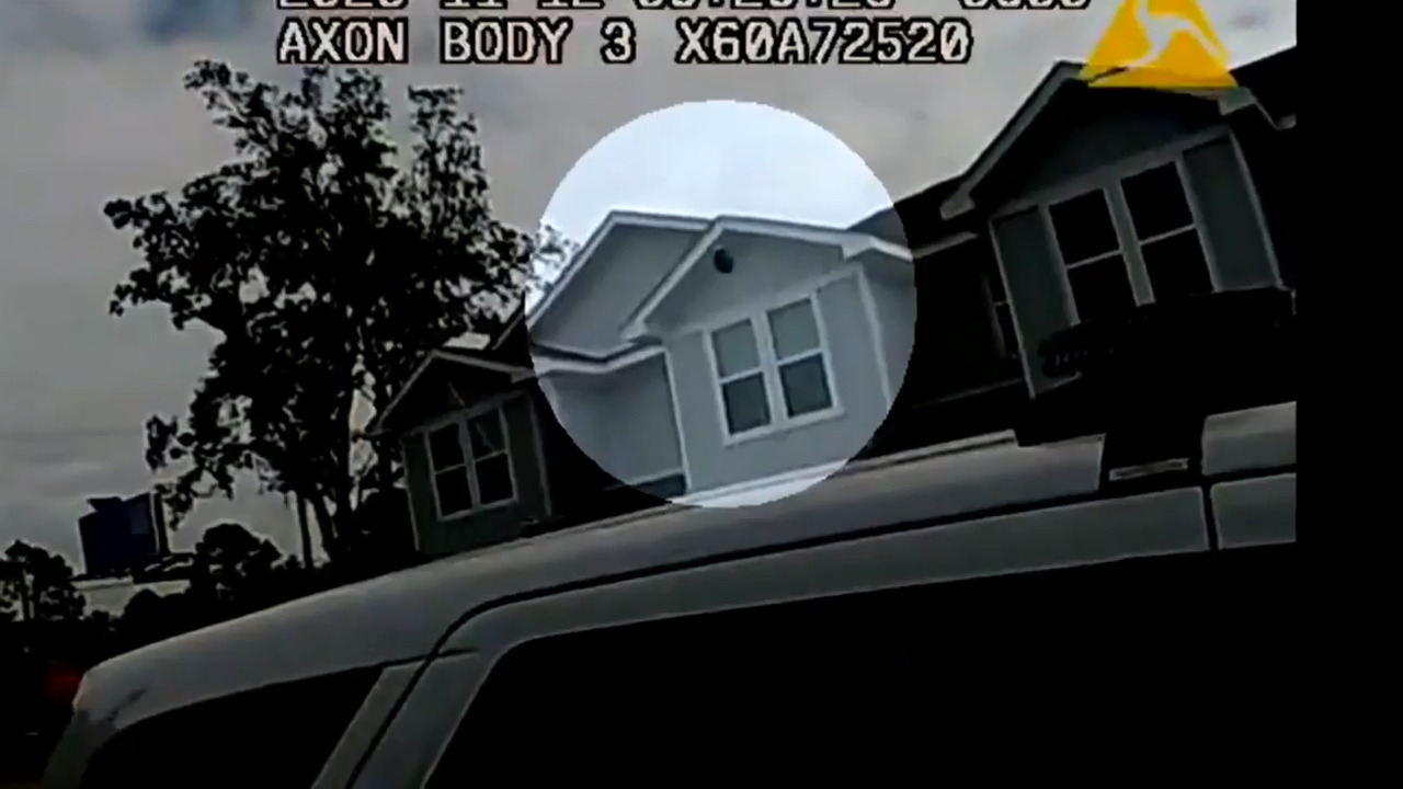 Florida deputy mistakes falling acorn for gunshot, fires into patrol ...