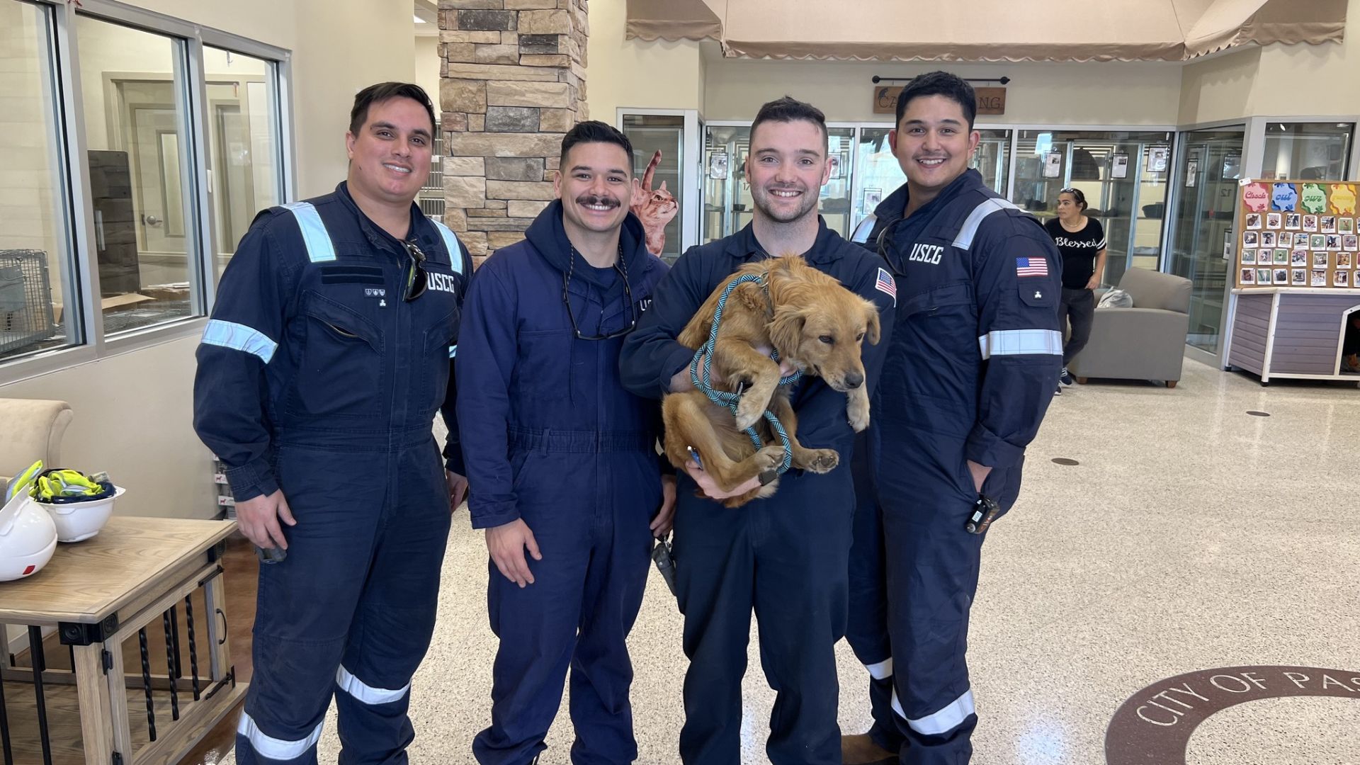 Dog rescued after more than a week trapped inside shipping container in ...