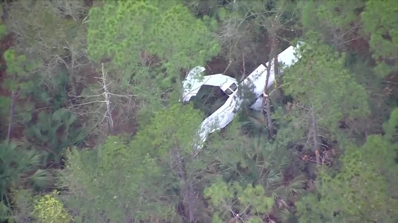 Pilot suffers minor injuries after Cessna crashes in wooded area north ...