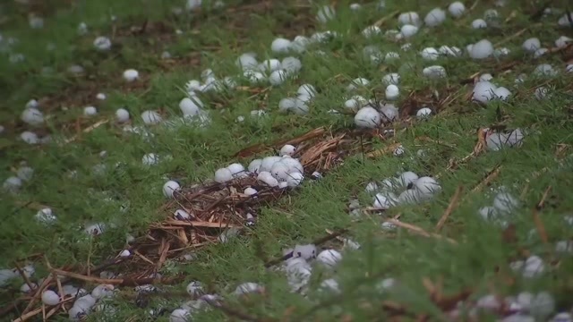 Facts about hail, the icy precipitation often encountered in spring and ...