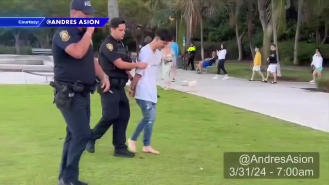 Driver Arrested On Dui Charge After Car Plunges Into Water Near South