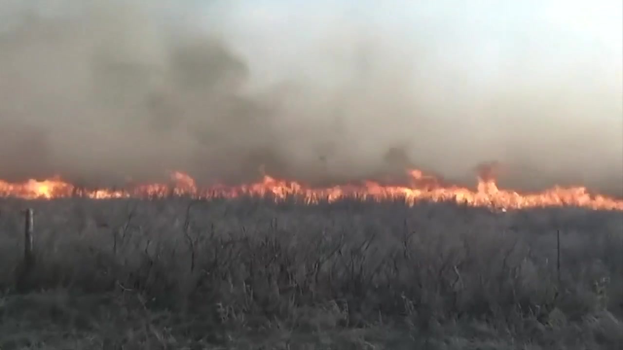 Power lines ignited the largest wildfire in Texas history, officials ...