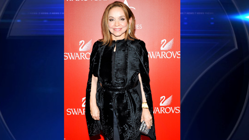 Celebrity handbag designer sentenced to 18 months in prison for ...