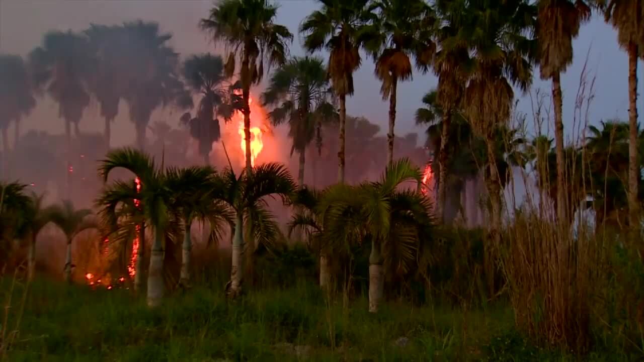 Officials: South Miami-Dade grass fire that prompted hours-long closure ...