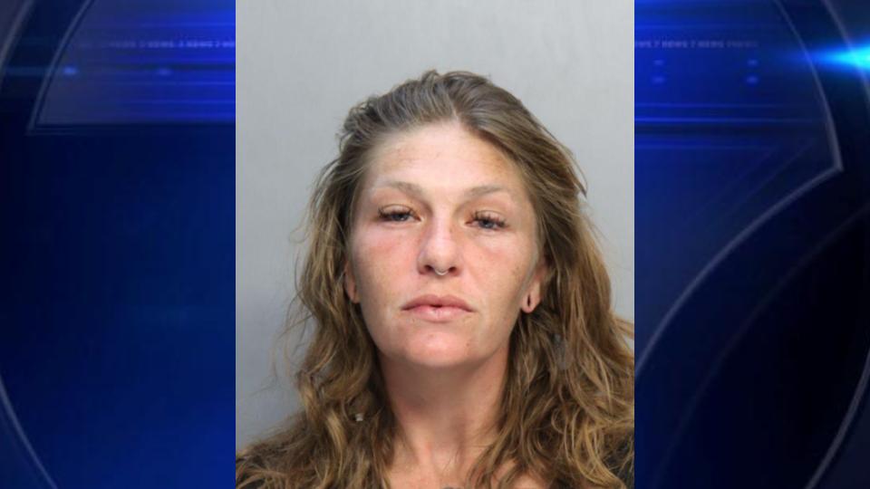Miami mother arrested for child neglect after children found in ...
