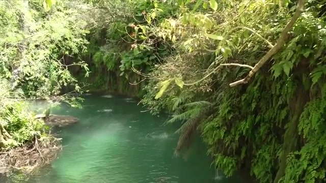 Redland-area oases Patch of Heaven Sanctuary and Blue Lagoon Farm put ...
