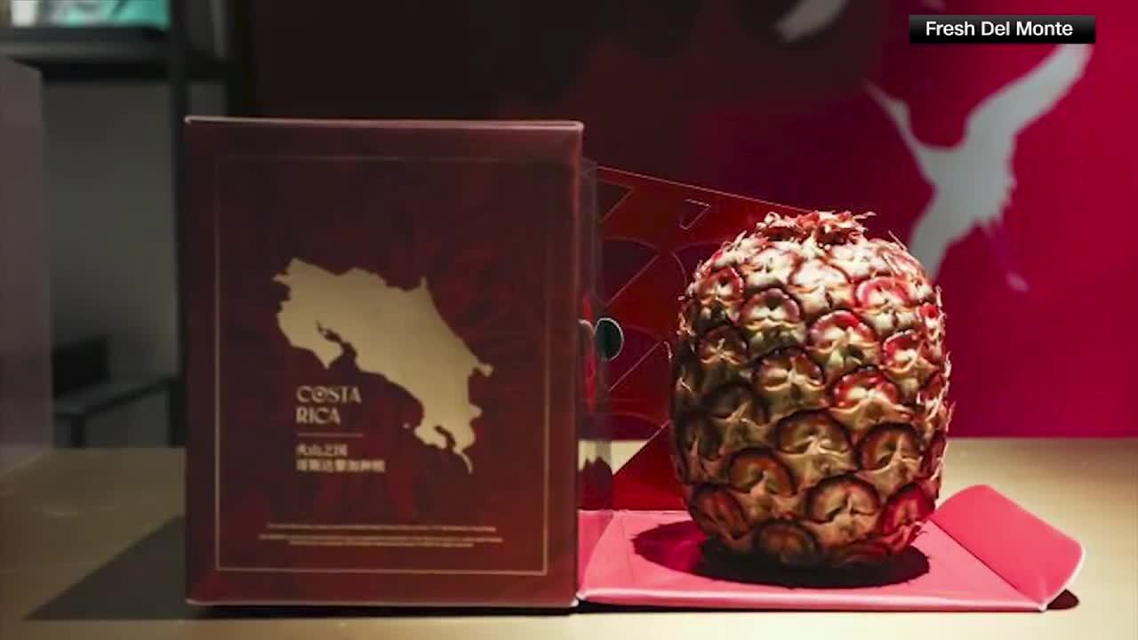 $400 for one pineapple: The rise of luxury fruit - WSVN 7News | Miami ...