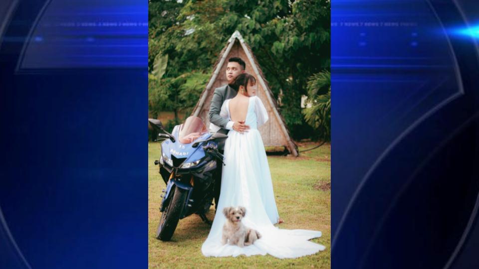 Couples Want Their Dog at Their Wedding More Than Some Humans - WSVN ...