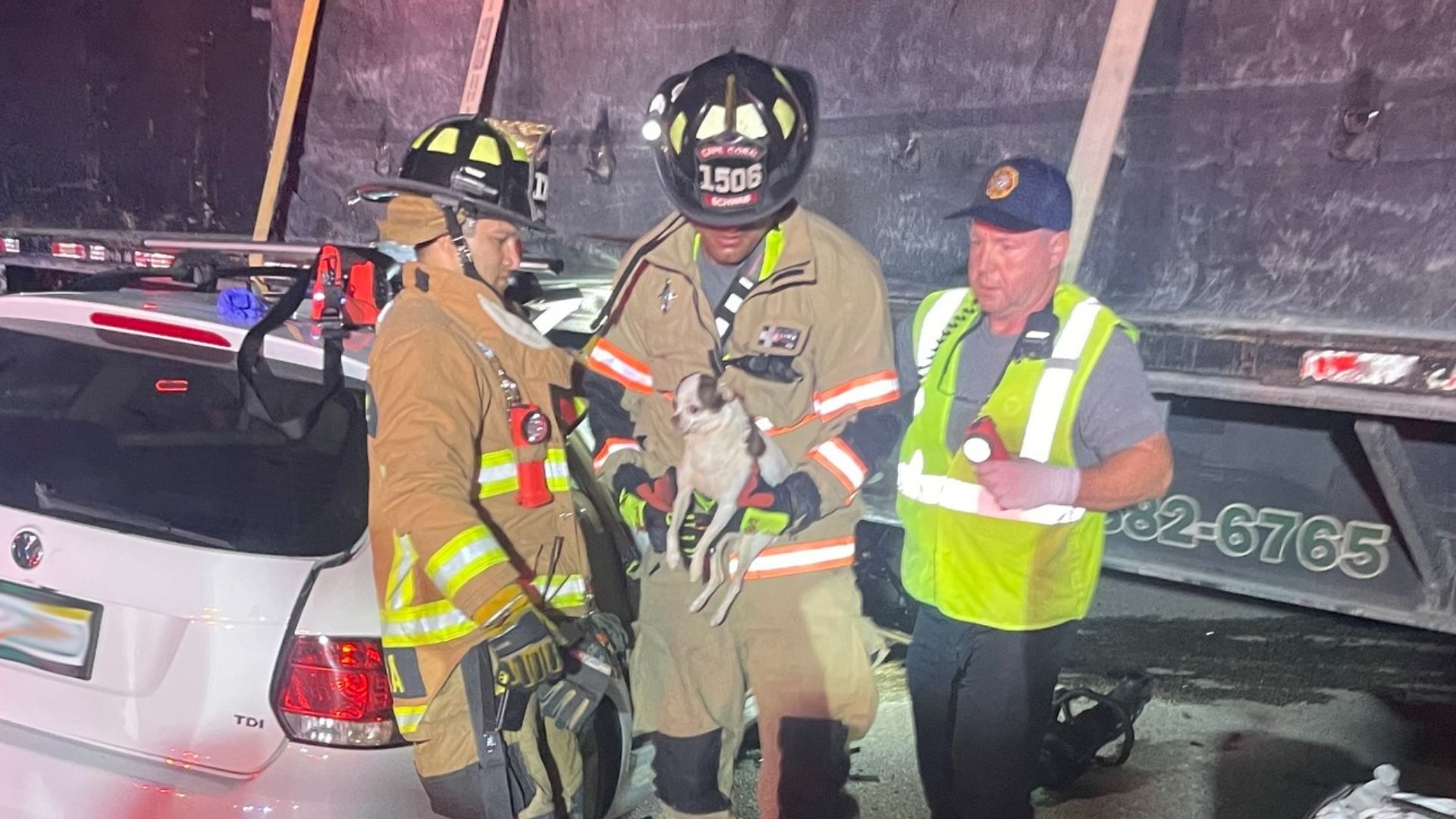 Driver, dogs rescued from car after crash with tractor trailer in ...