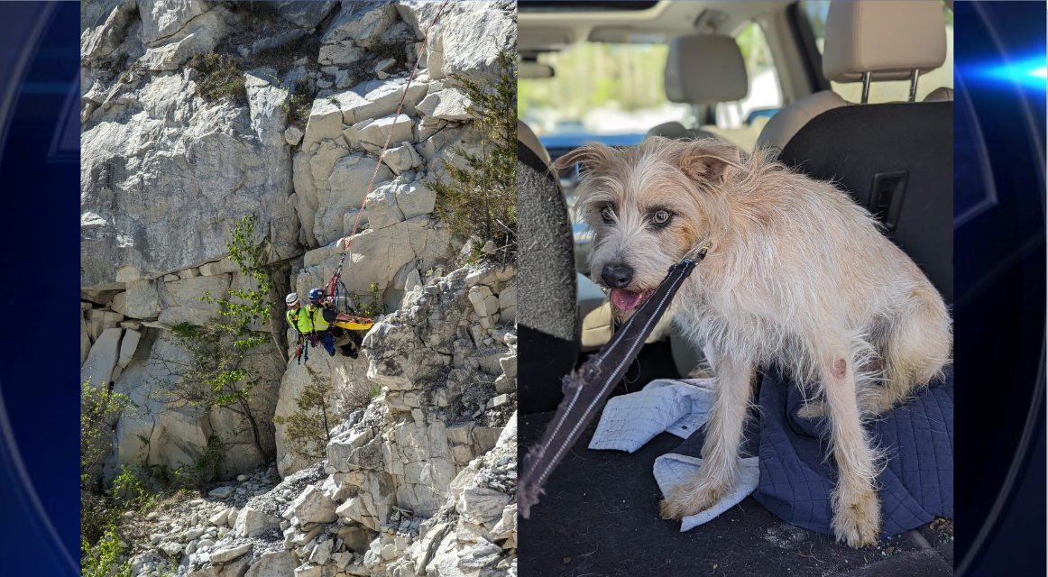Rope team rappels down into a rock quarry to rescue a mutt named Rippy ...