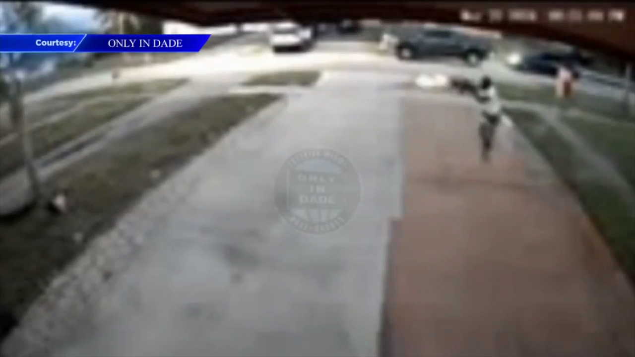 Video shows gunman firing large rifle in Miami Gardens neighborhood in ...