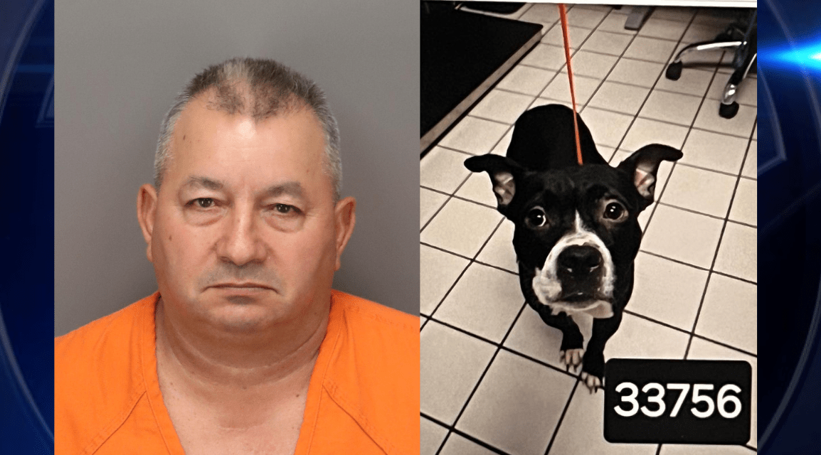 Florida man accused of decapitating dog - WSVN 7News | Miami News ...