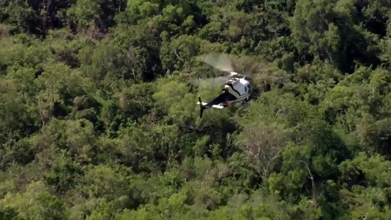 US Customs and Border Patrol respond to migrant landing near Totten Key ...