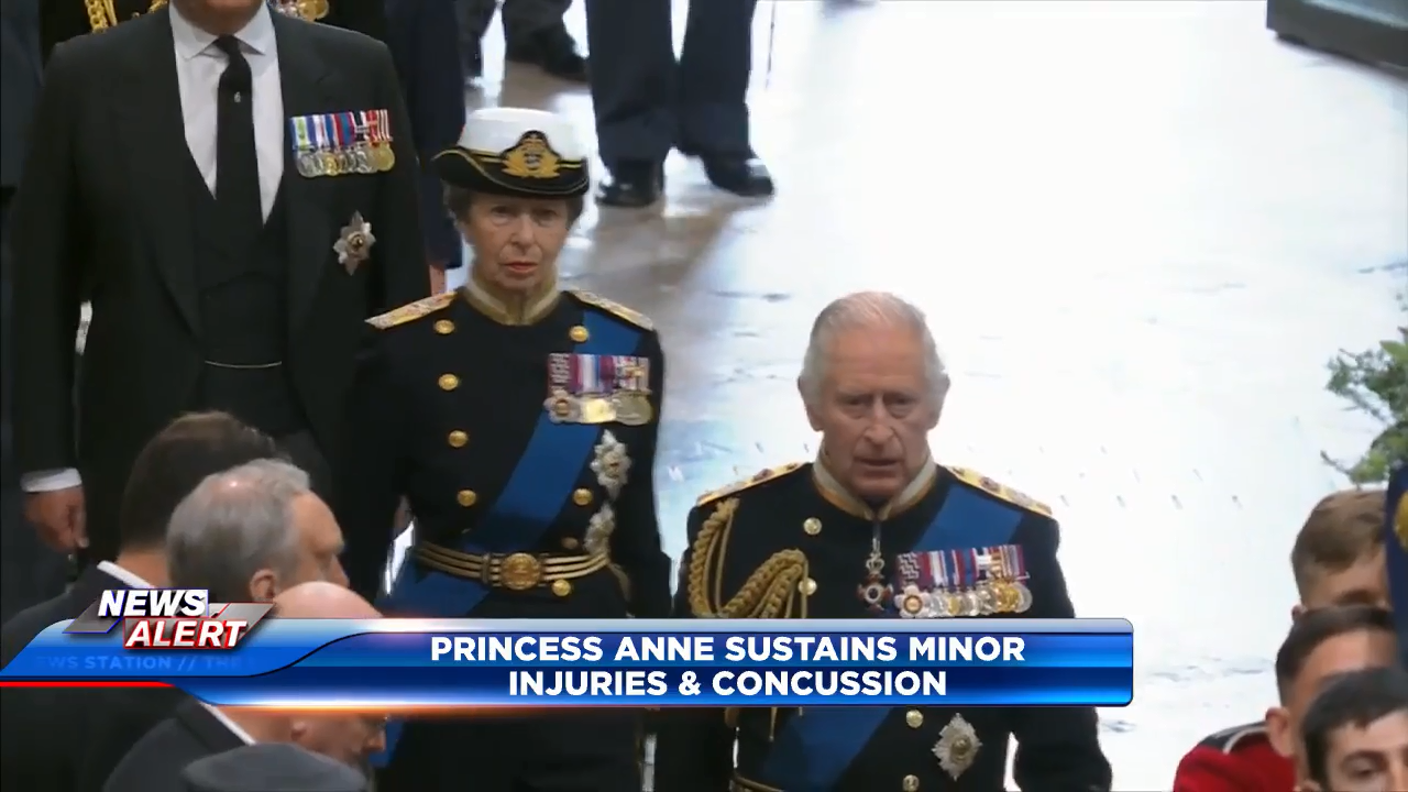 Princess Anne has been hospitalized after an accident thought to ...