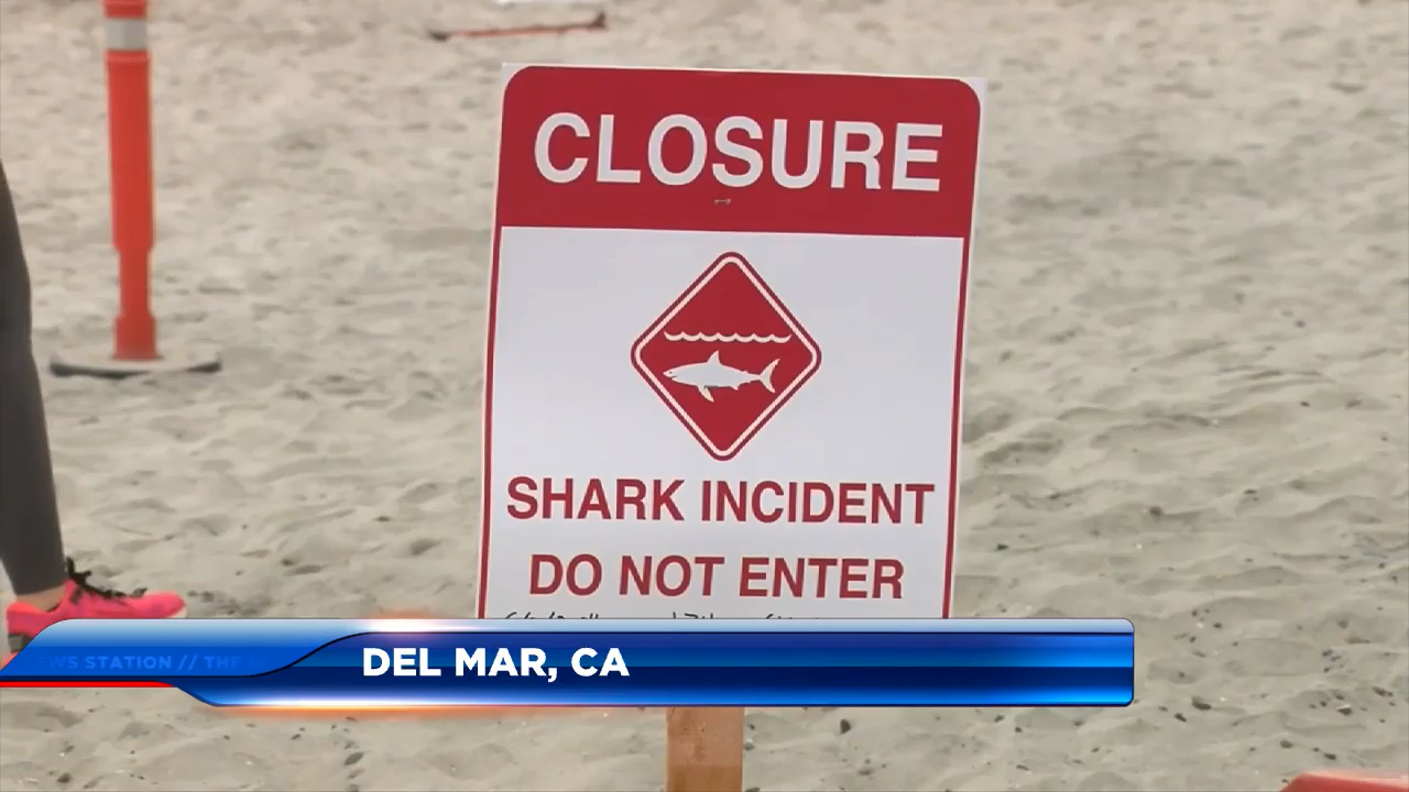 46-year-old man injured in apparent shark attack in California - WSVN ...