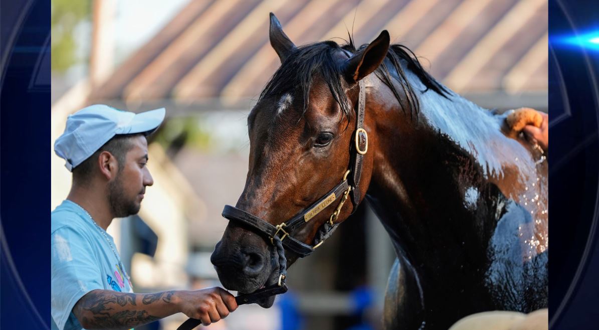 Dornoch wins the Belmont Stakes, beating Derby and Preakness winners ...