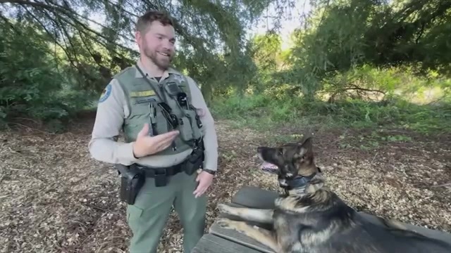 Meet the park ranger, dog credited in rescue of missing hiker in Santa ...