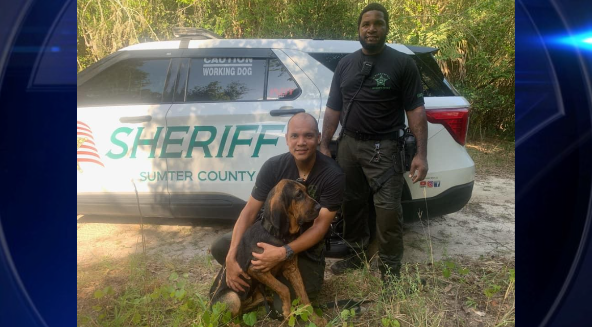 Florida deputy and K9 duo save missing teen with autism thanks to human ...