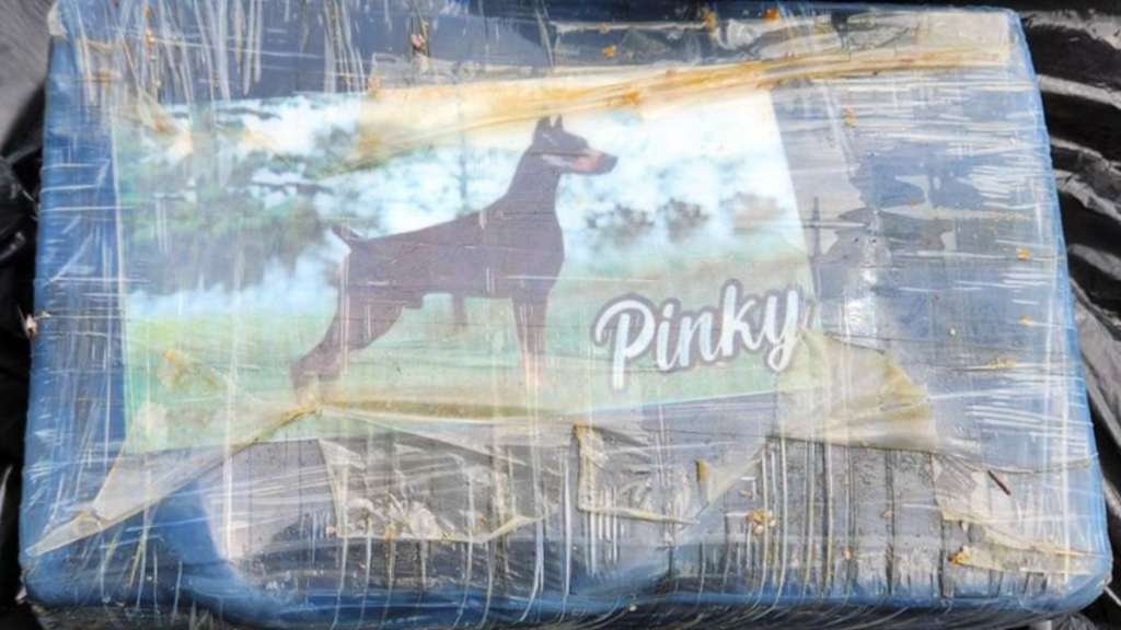 Suspected brick of cocaine found on Key Largo beach - WSVN 7News ...