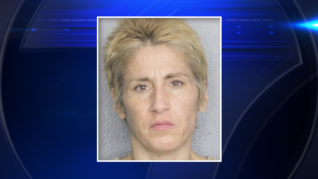 Woman Arrested After Road Rage Attack On Sawgrass Expressway Wsvn