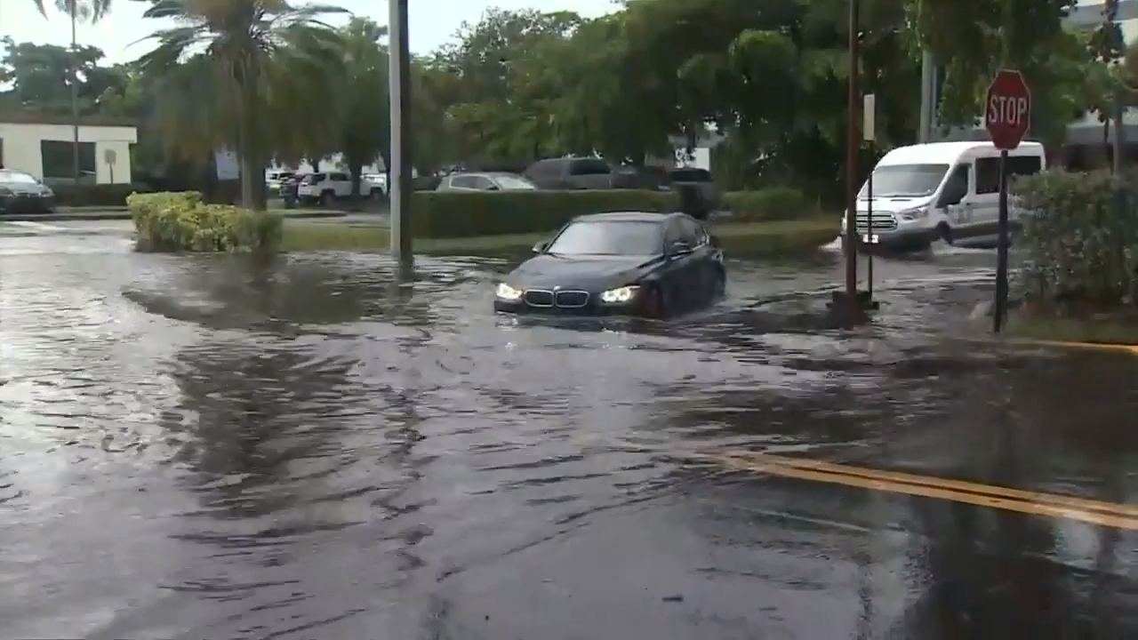 Storms Across Broward Dump Inches Of Rain Cause Flooding And Car