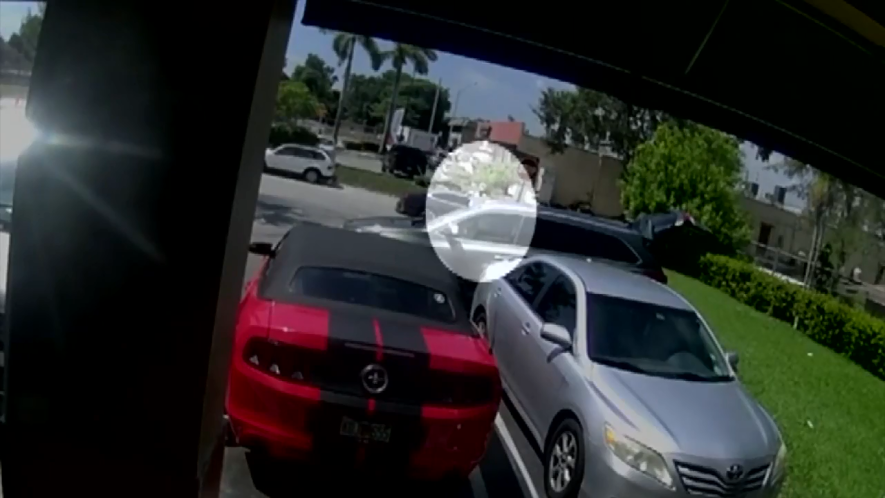 Sheldon Fox - Journalist Profile - Intelligent Relations