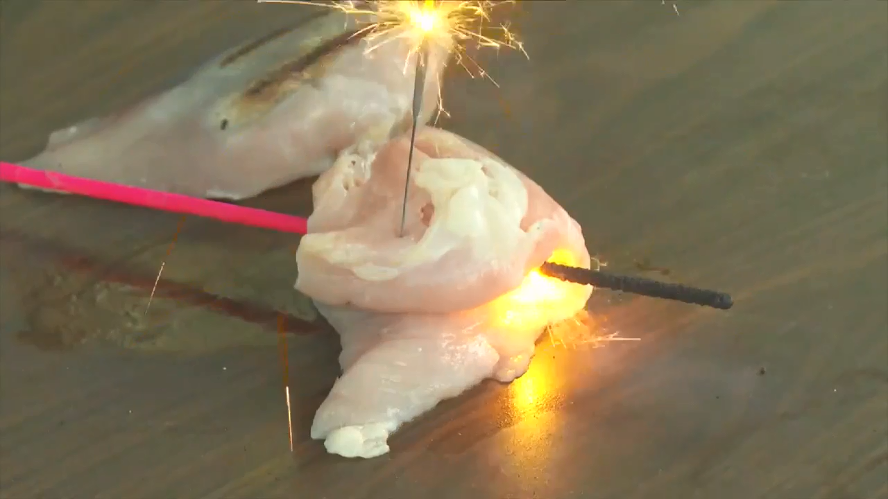 Fourth of July fireworks safety reminders and tips to protect pets ...