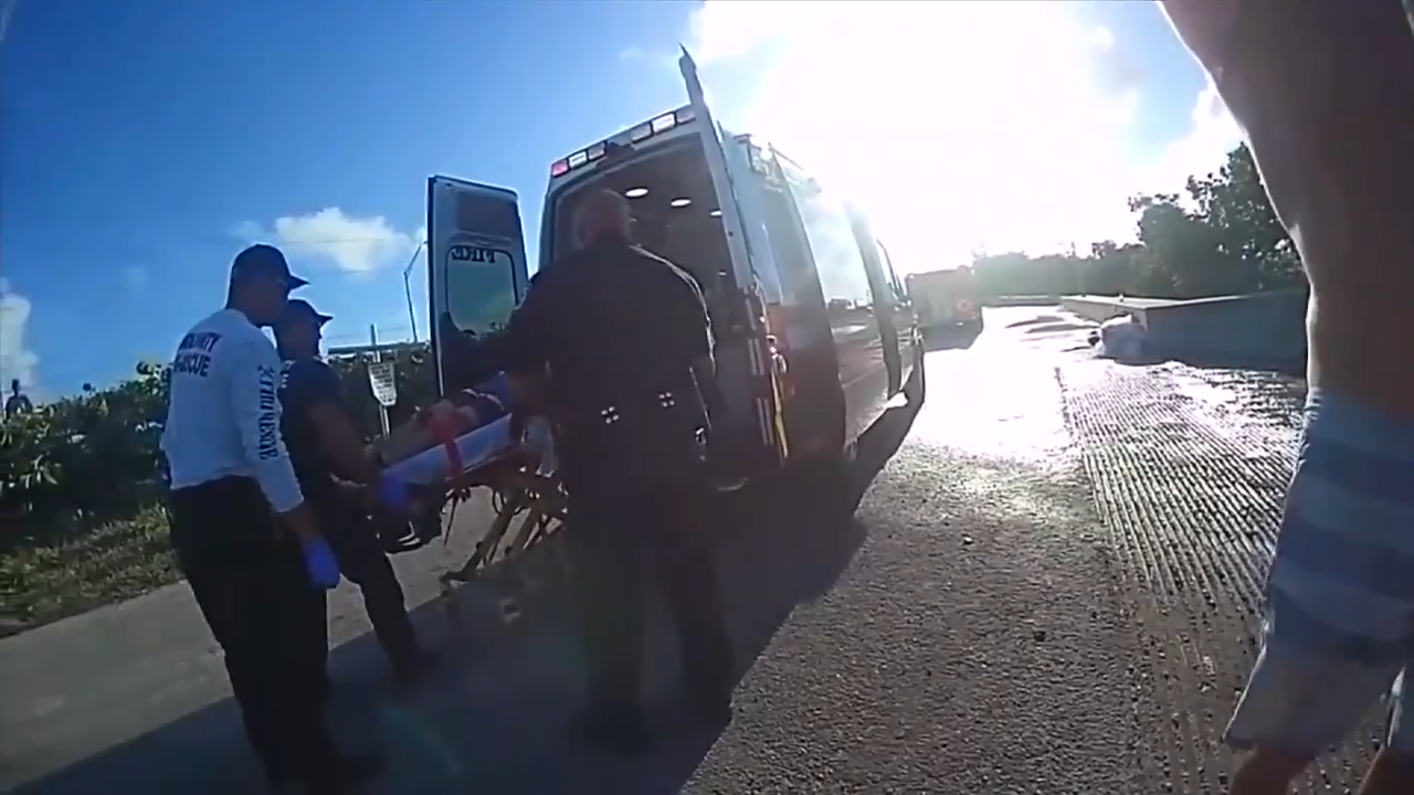 Snorkeler’s arm severed after being struck by vessel’s propeller in the ...