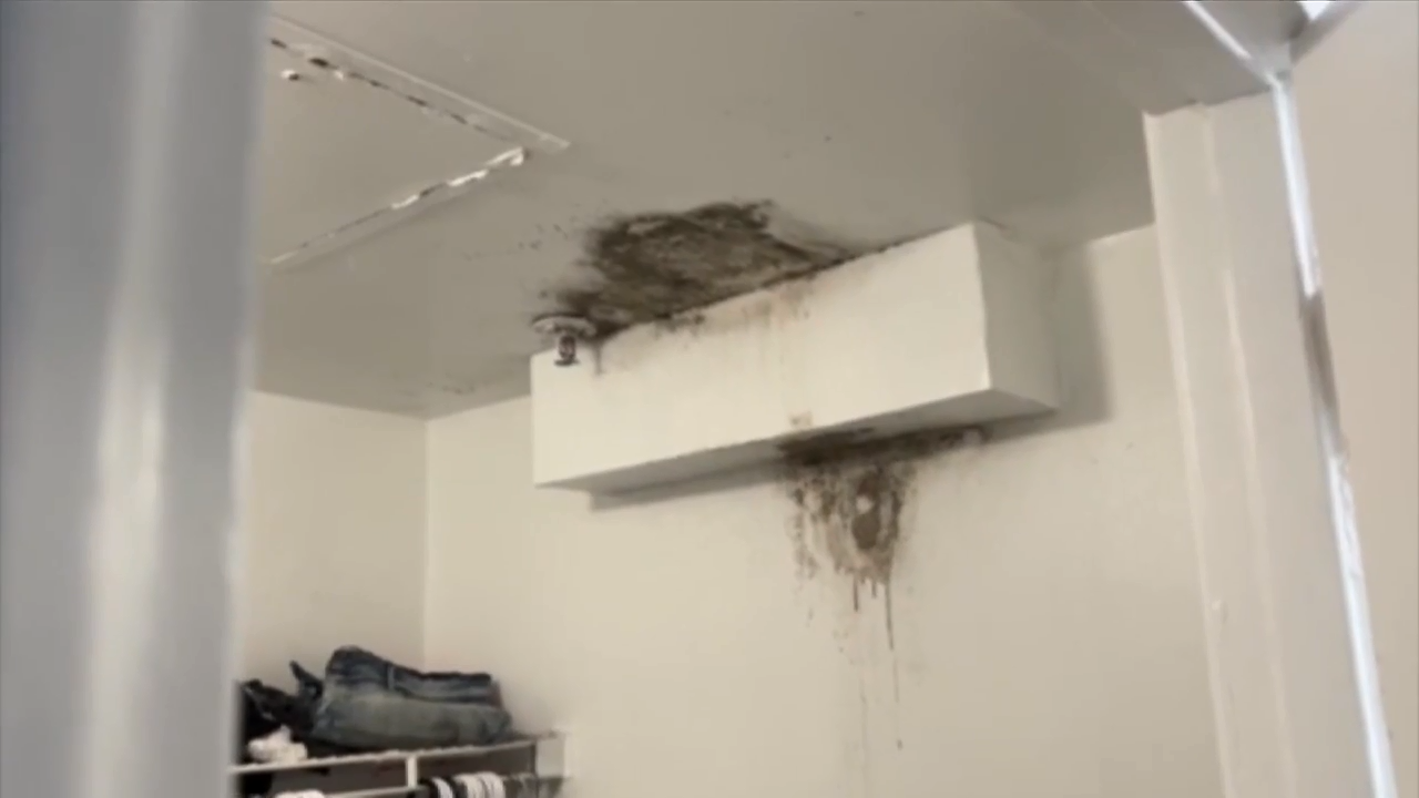 Mold, mold, mold everywhere - WSVN 7News | Miami News, Weather, Sports | Fort Lauderdale