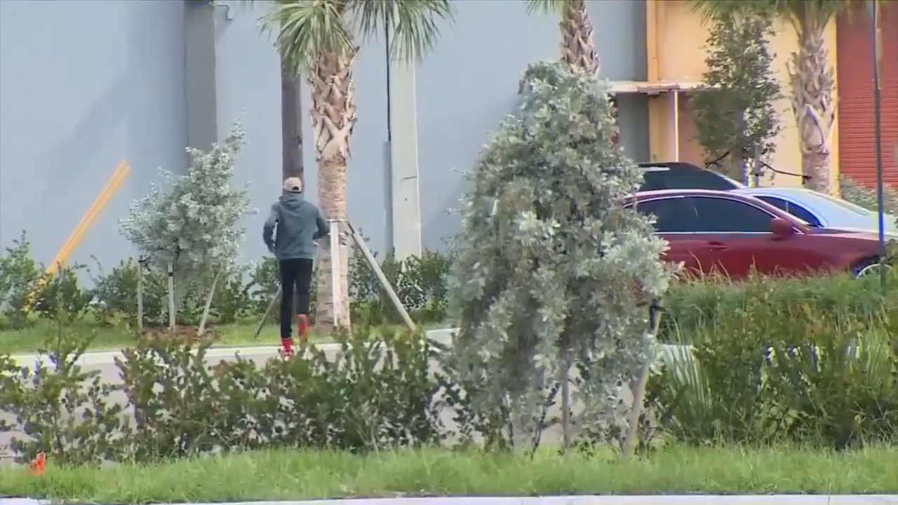 Mobile pet groomer charged with animal cruelty bonds out, sprints away ...