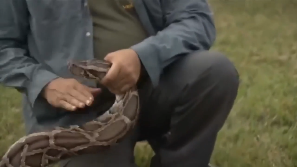 Florida – Page 3 – WSVN 7News | Miami News, Weather, Sports | Fort ...