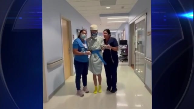 ‘It’s a miracle’: Snorkeler critically injured in Lower Keys boating ...