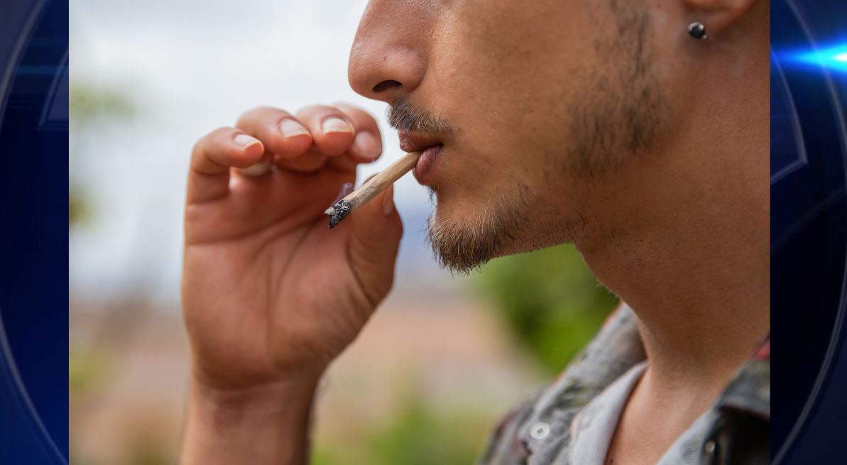 Daily marijuana use linked to increased risk of deadly head and neck ...