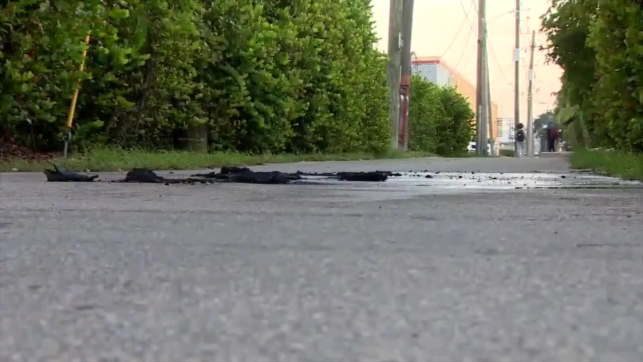 911 call released after body found burnt in Hollywood alleyway - WSVN ...