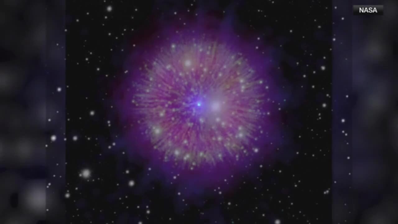 240814 zombie star – WSVN 7News | Miami News, Weather, Sports | Fort ...