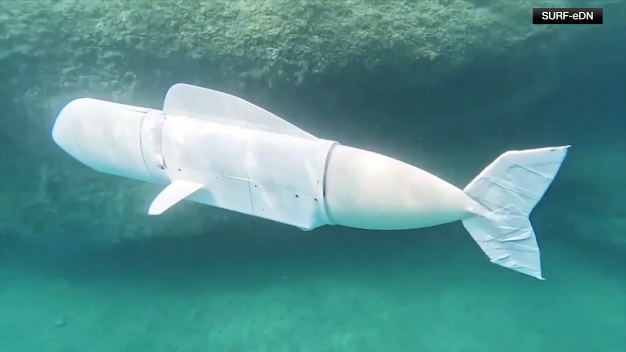 Meet ‘Eve’ the DNA-collecting robot fish - WSVN 7News | Miami News ...