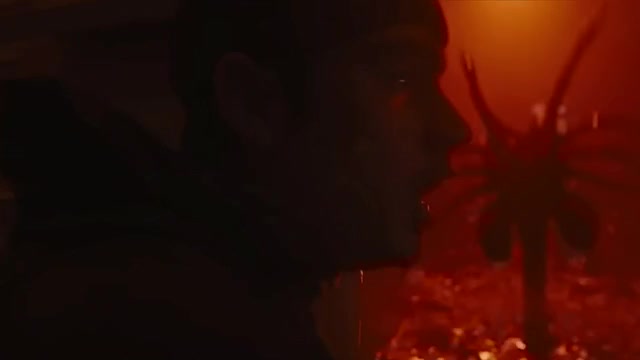 ‘Alien: Romulus’ bites off $41.5 million to top box office charts ...