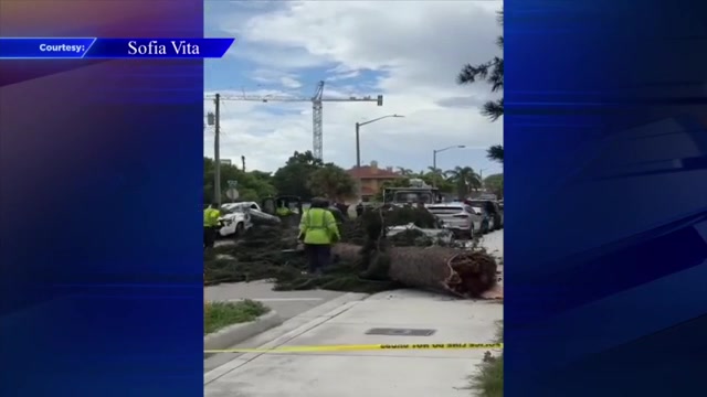 Miami-Dade – WSVN 7News | Miami News, Weather, Sports | Fort Lauderdale