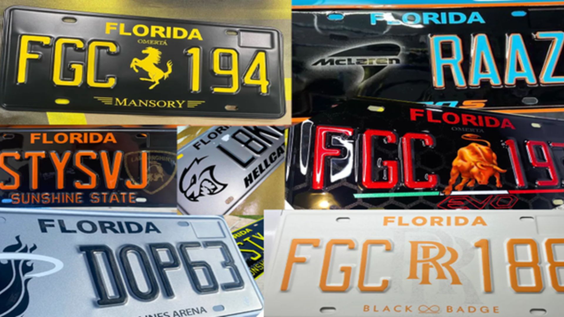 FHP warns drivers against customized license plates that violate ...