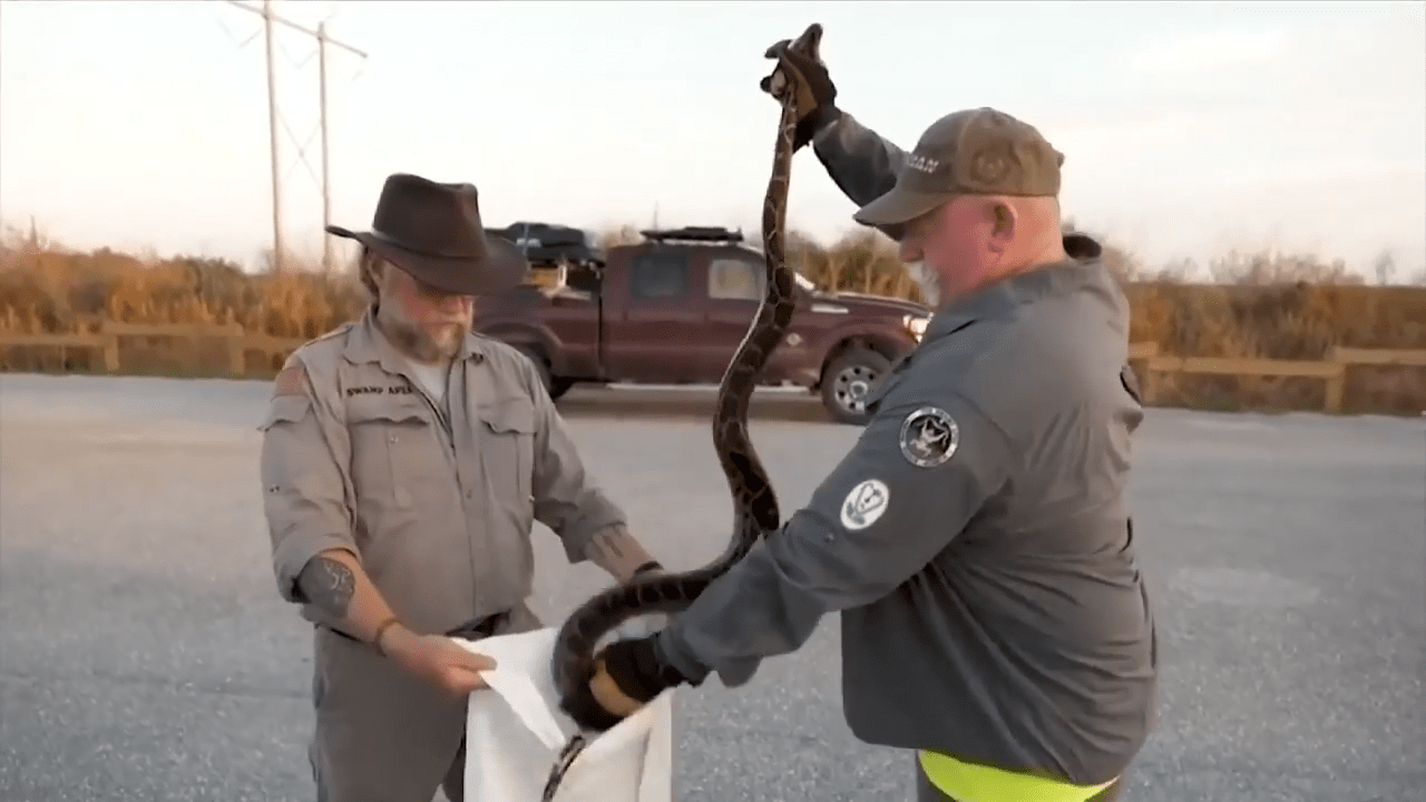 Florida – WSVN 7News | Miami News, Weather, Sports | Fort Lauderdale