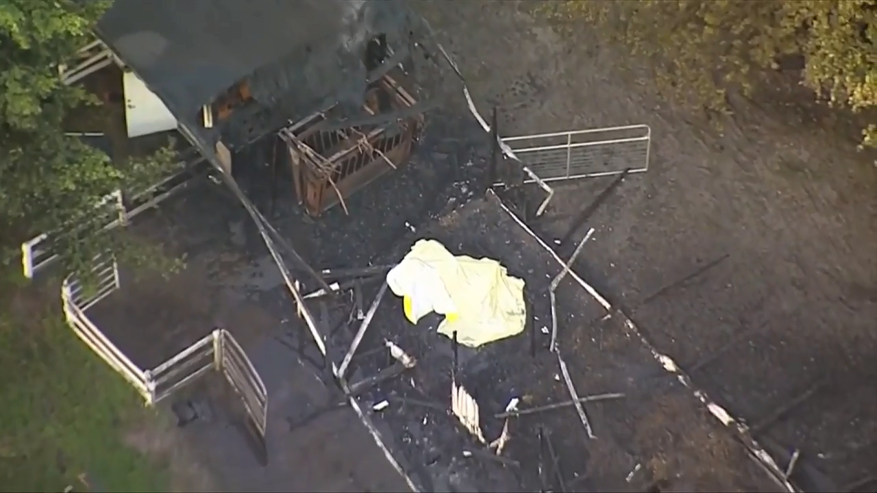Barn fire in Coconut Creek killed 1 horse and injured another ...