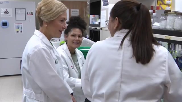 Researchers at University of Miami are looking into the recent spike in ...