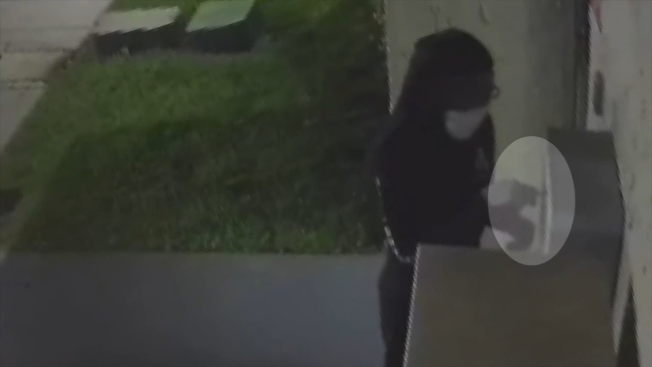 ‘This is happening again’: Business owner says mail thief stole ...