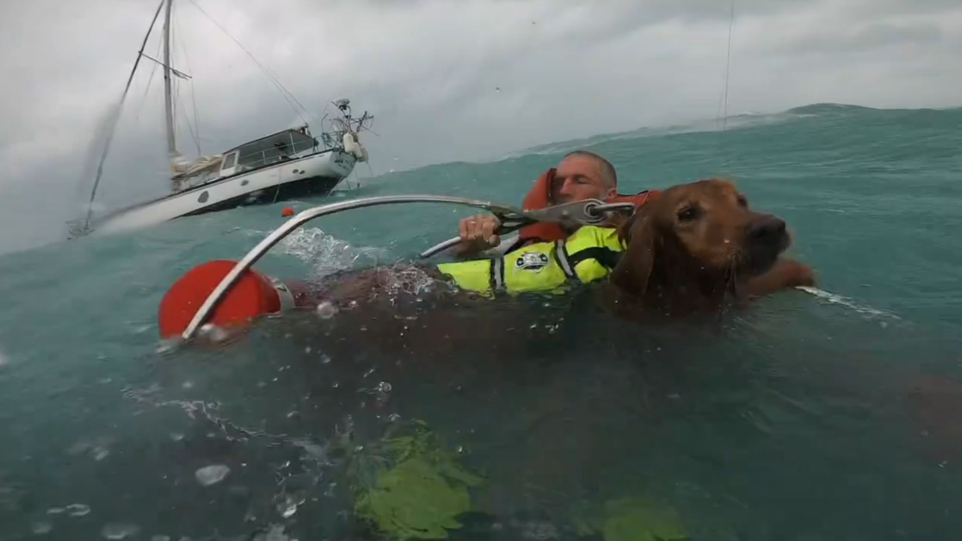 Coast Guard rescues man and dog from disabled sailboat in Southwest ...