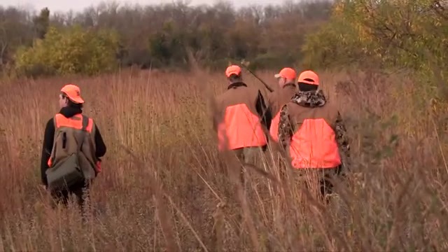 Walz tramps through tall grass on Minnesota’s pheasant hunting season ...