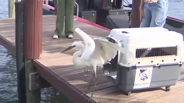 Michael Hudak – Page 19 – WSVN 7News | Miami News, Weather, Sports ...