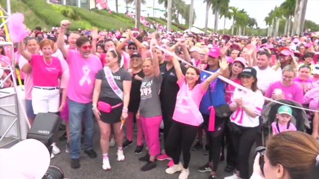 Hundreds take part in Making Strides Against Breast Cancer walk in ...