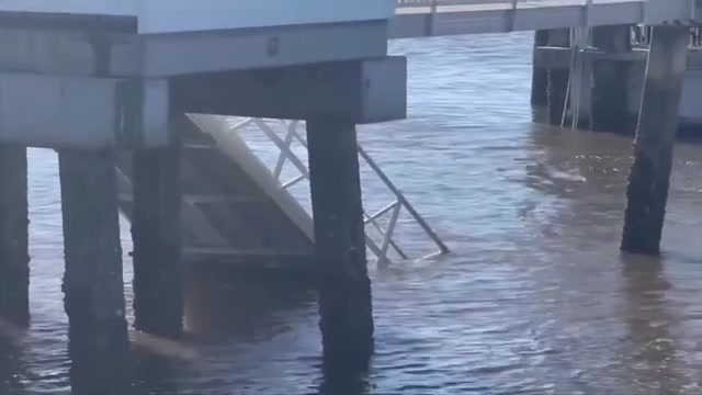 Georgia authorities investigating a dock gangway collapse that killed 7 ...