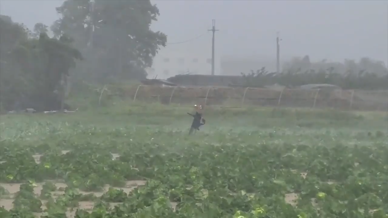 Typhoon Kong-rey hits Taiwan’s east coast, leaving 1 dead - WSVN 7News ...